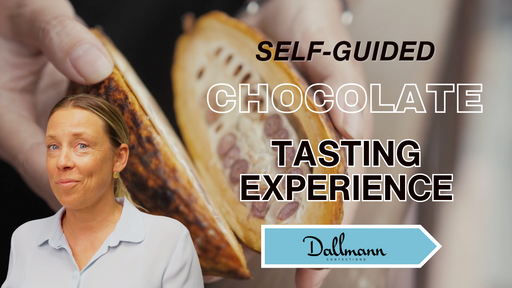 Tasting Kit Plain Chocolate